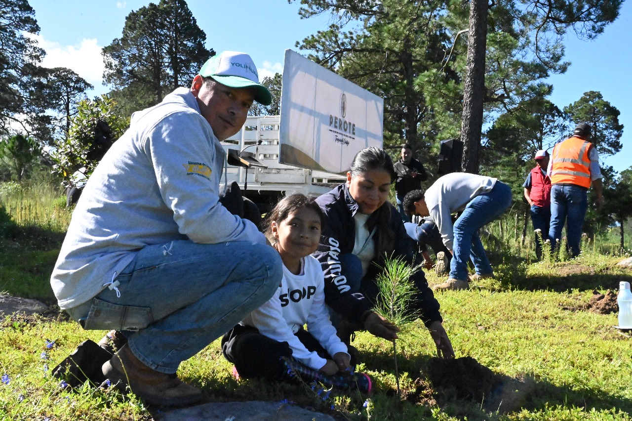 Granjas Carroll impulsa la conservación y reforestación en el Valle de ...